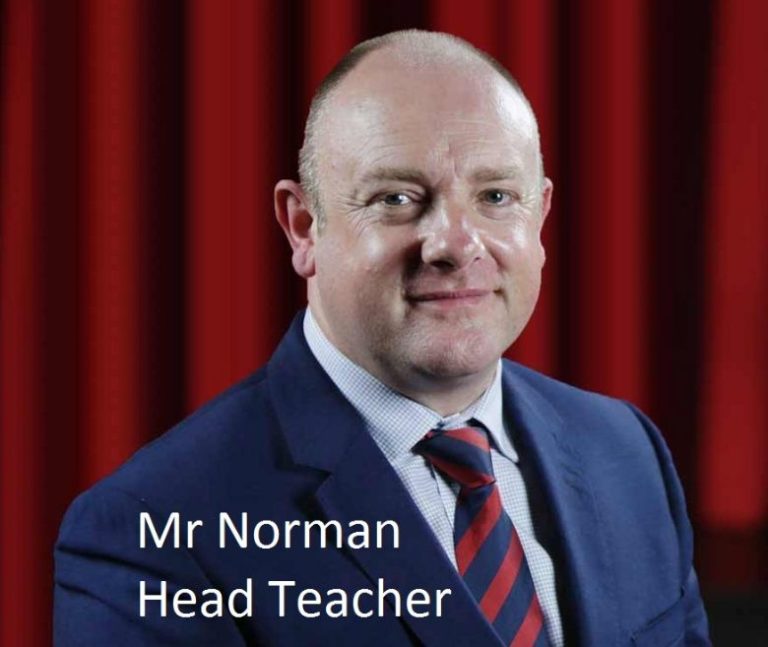 Welcome to Willows High School | Willows High School